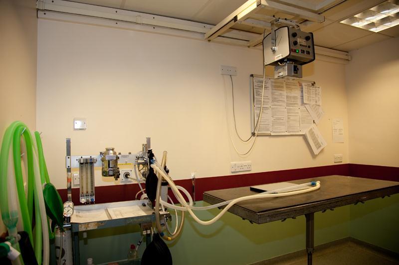 Brampton Theatre | Capontree Vets