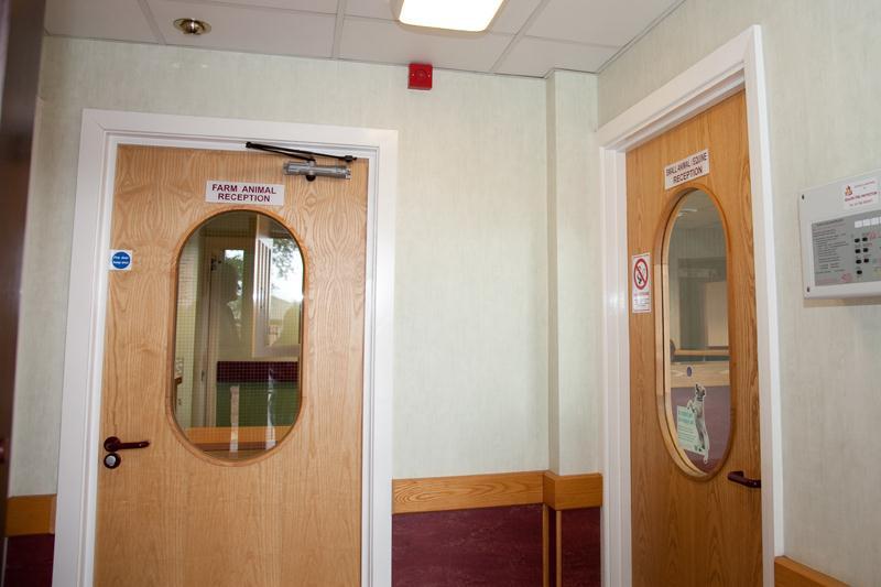 Brampton Surgery | Capontree Vets