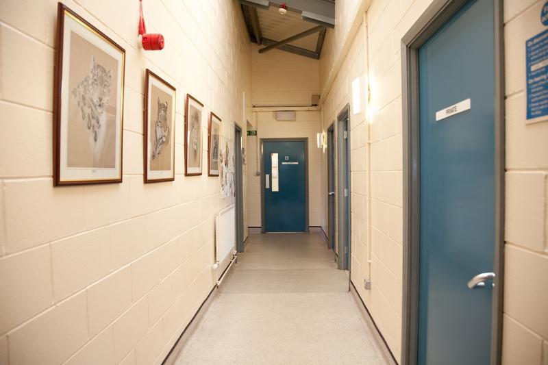 Longtown Wards | Capontree Vets